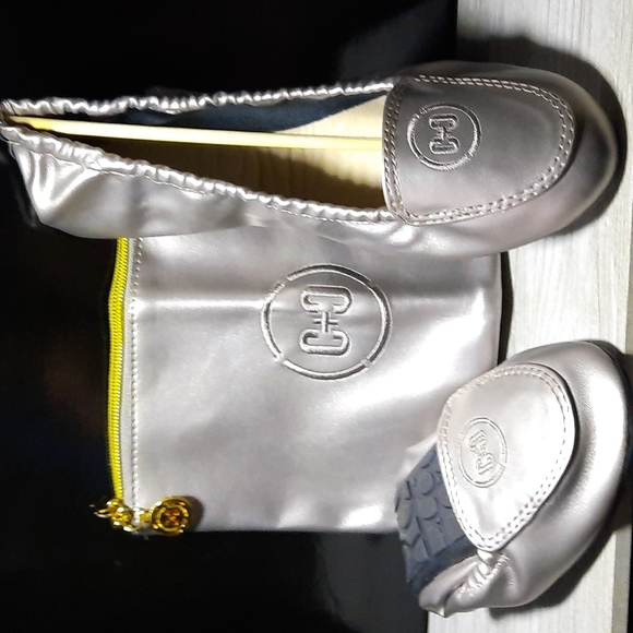 Coco + Carmen | Shoes | Foldable Ballet Flats Silver Carry Case Wedding ...
